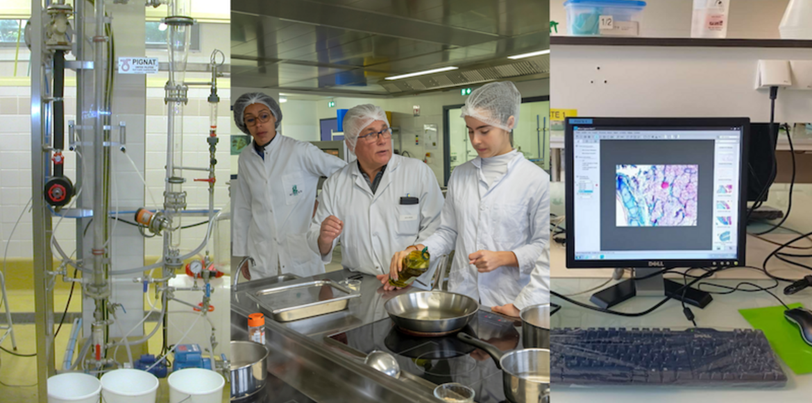 Accueil - L'IUT de LILLE